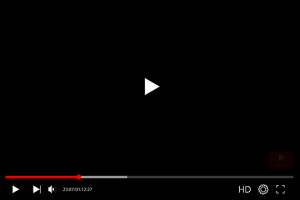 BTV1 em Directo Online Grátis: Streaming de Alta Qualidade - Bola Na Area